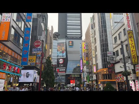 Japonya | Tokyo - Shinjuku, Anılar Sokağı