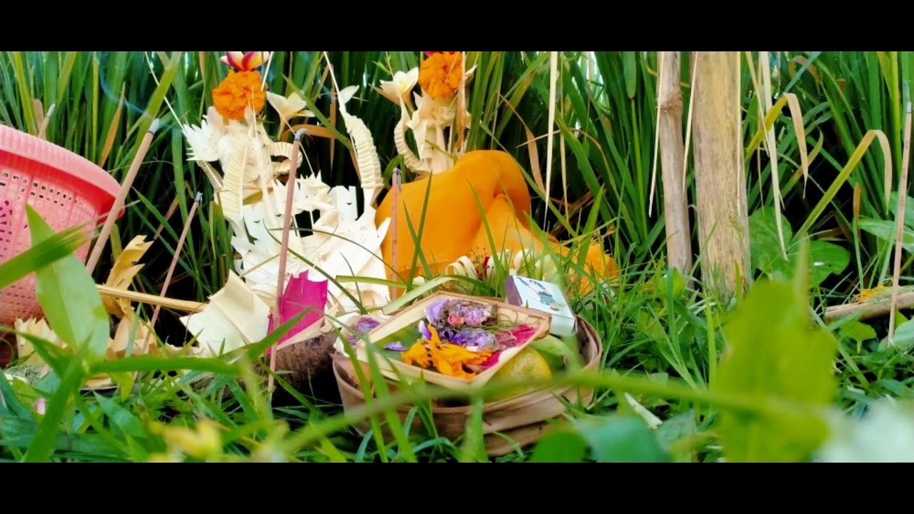 Tradisi dari dulu meniti kukung - YouTube