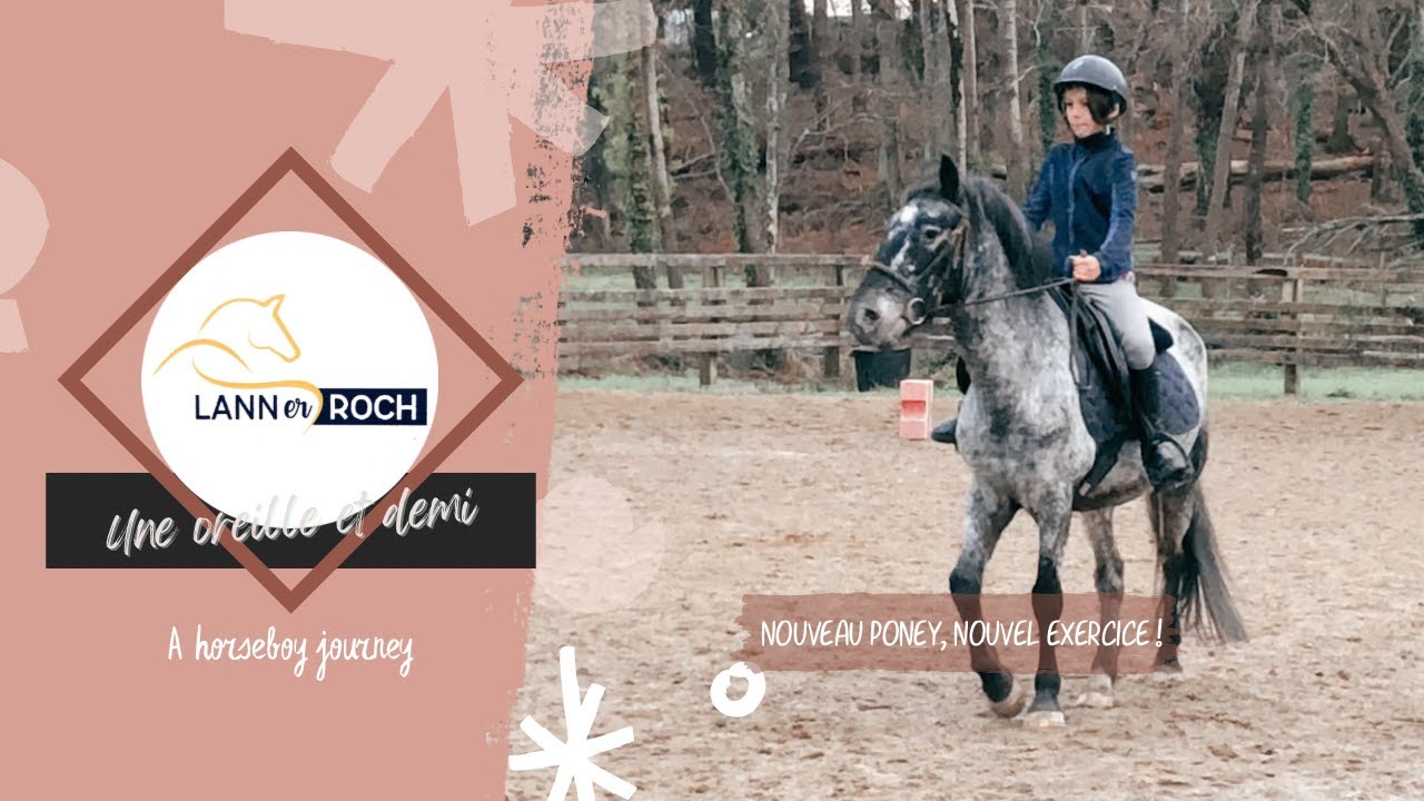 🐴 Rain ne montera plus Joy 😥 - YouTube
