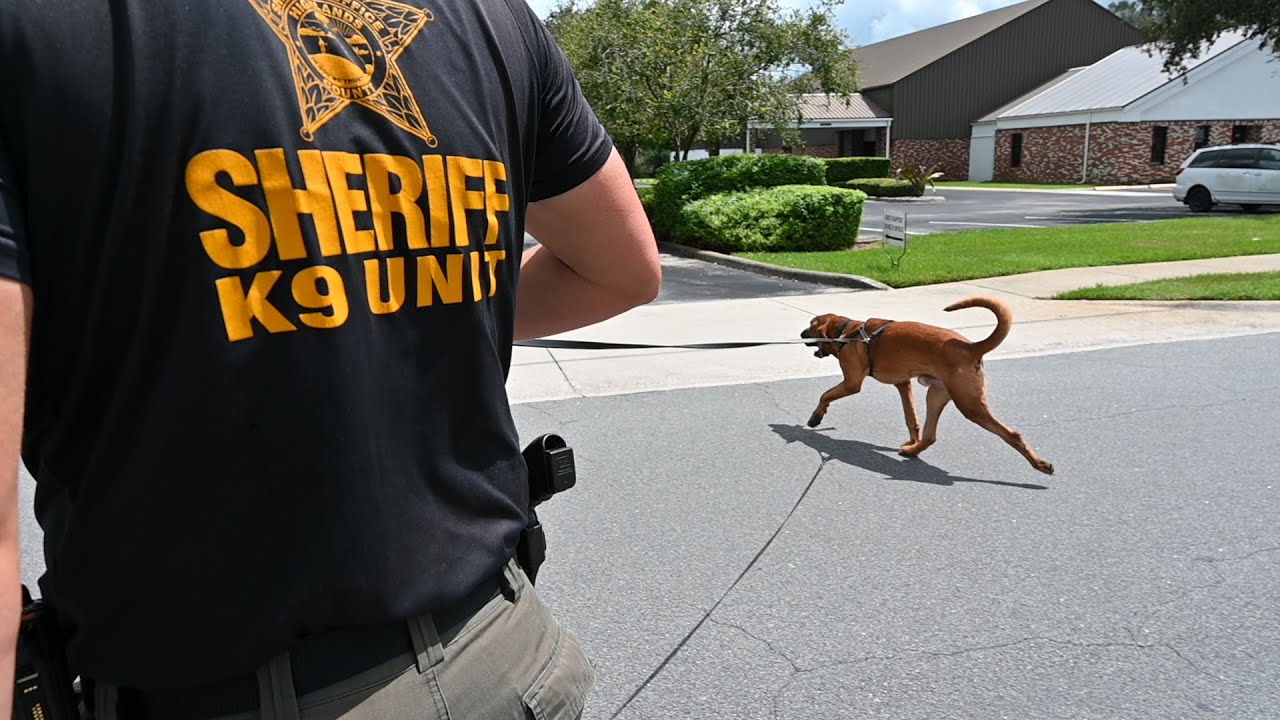 Behind the Scenes at the HCSO: K-9 Unit - YouTube