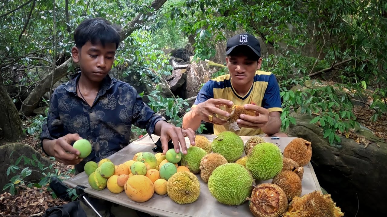 / Finding wild fruits / pick up wild fruits in deep forest ...