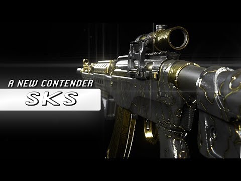 New Best DMR - Modern Warfare SKS Review - YouTube
