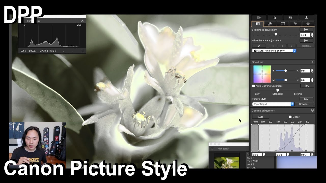 點解咁多人話 Canon 色靚? | Canon picture style x Digital Photo Professional x ...