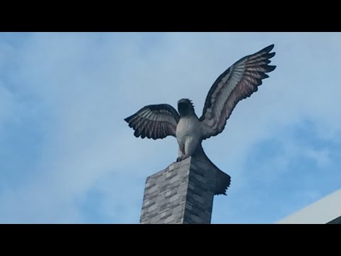 SEA EAGLE BEACH RESORTS @MABINI PINDASAN DAVAO DE ORO - YouTube
