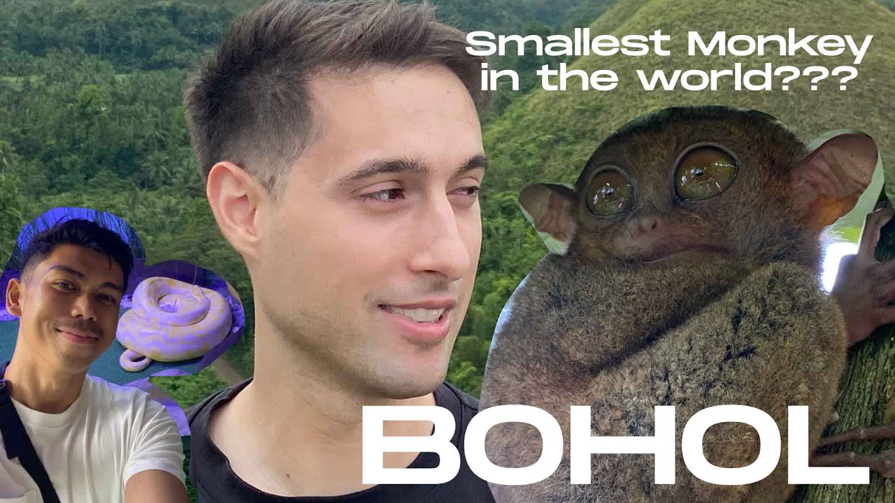 SMALLEST MONKEY IN THE WORLD??? | BOHOL PHILIPPINES | Tarsier ...