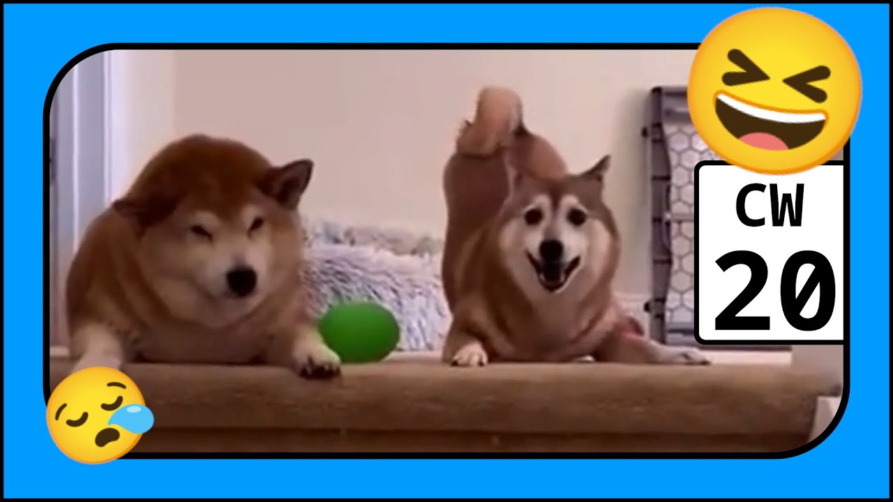Monday Recharge - CW20 - YouTube