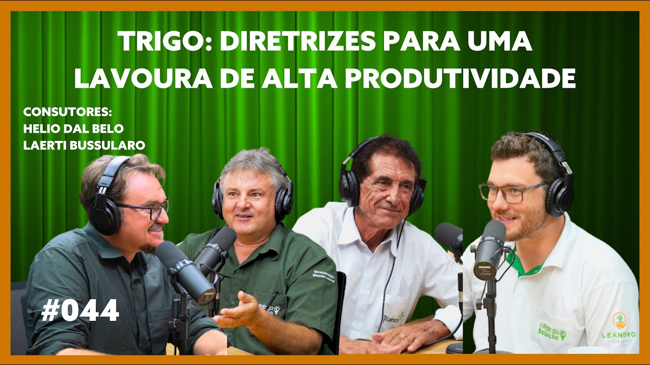TRIGO: DIRETRIZES PARA UMA LAVOURA DE ALTA PRODUTIVIDADE - HÉLIO DAL E ...