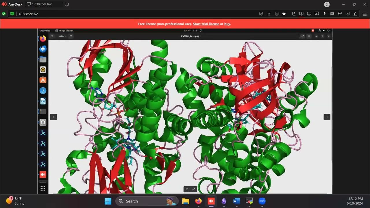 How to use PyMol and VMD for figures and visualizing trajectories - YouTube