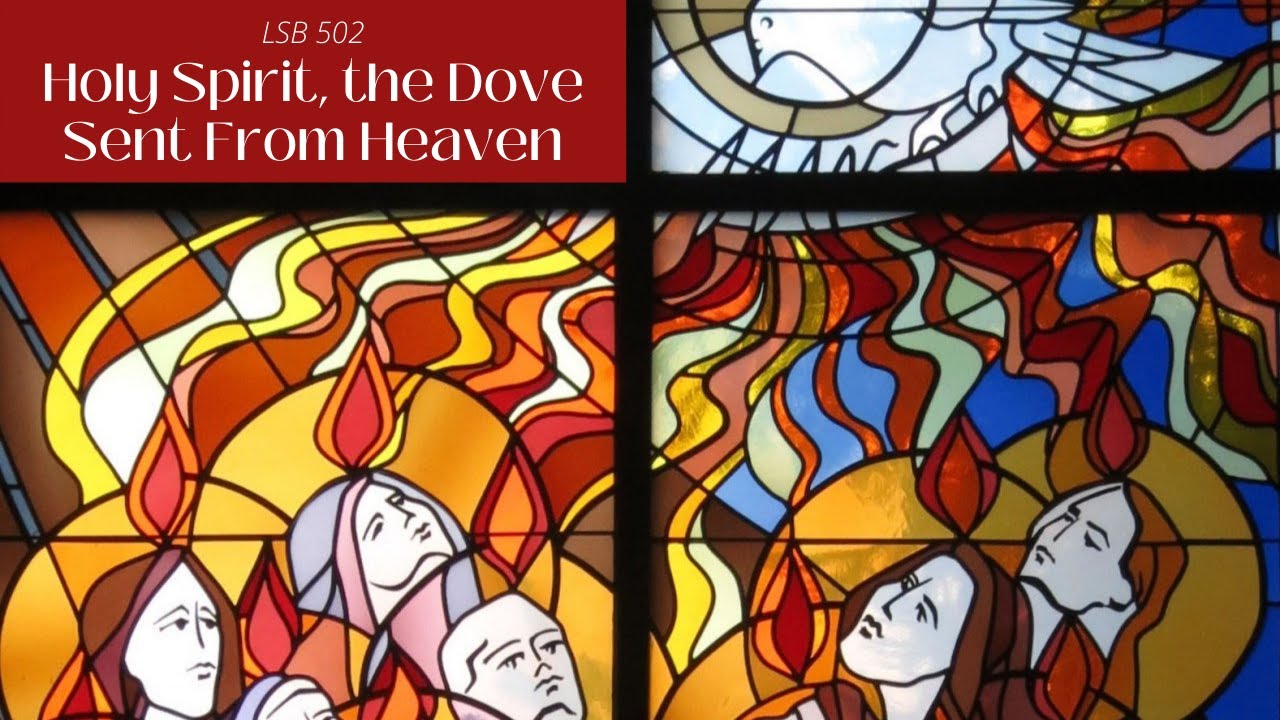LSB 502 Holy Spirit the Dove Sent from Heaven - YouTube