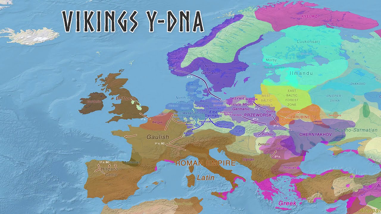 Vikings Y-DNA - YouTube