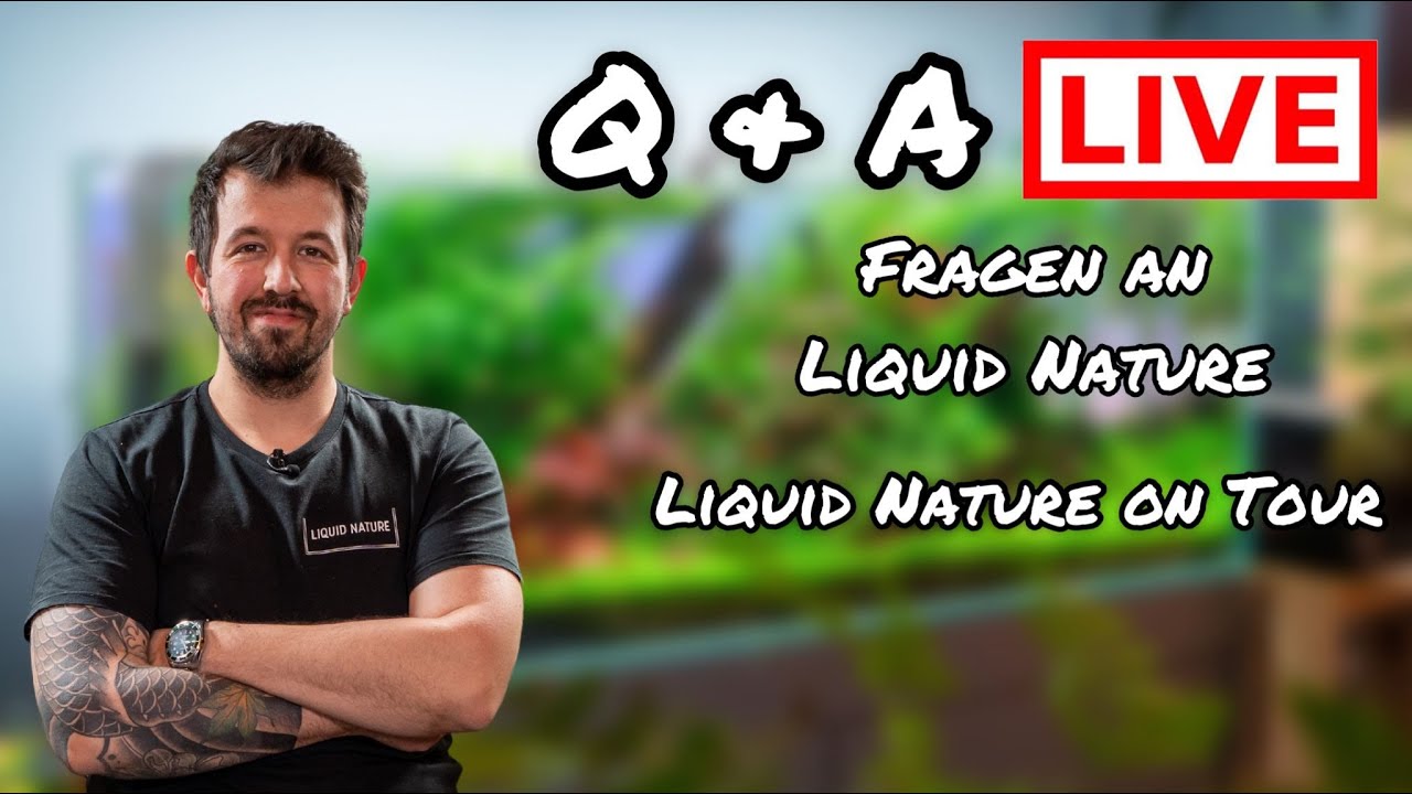 Aquascaping Talk und Q&A - Liquid Nature on Tour Planung! | Liquid ...