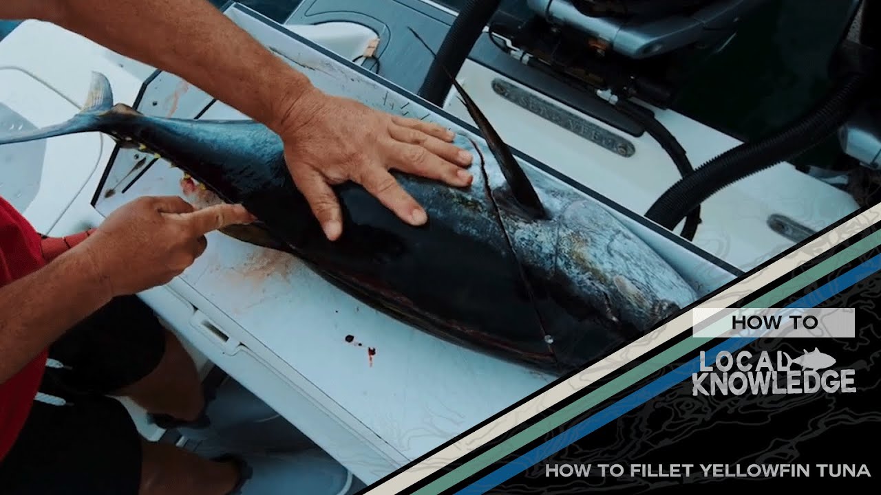 How to Fillet Yellowfin Tuna | Local Knowledge Fishing Show - YouTube