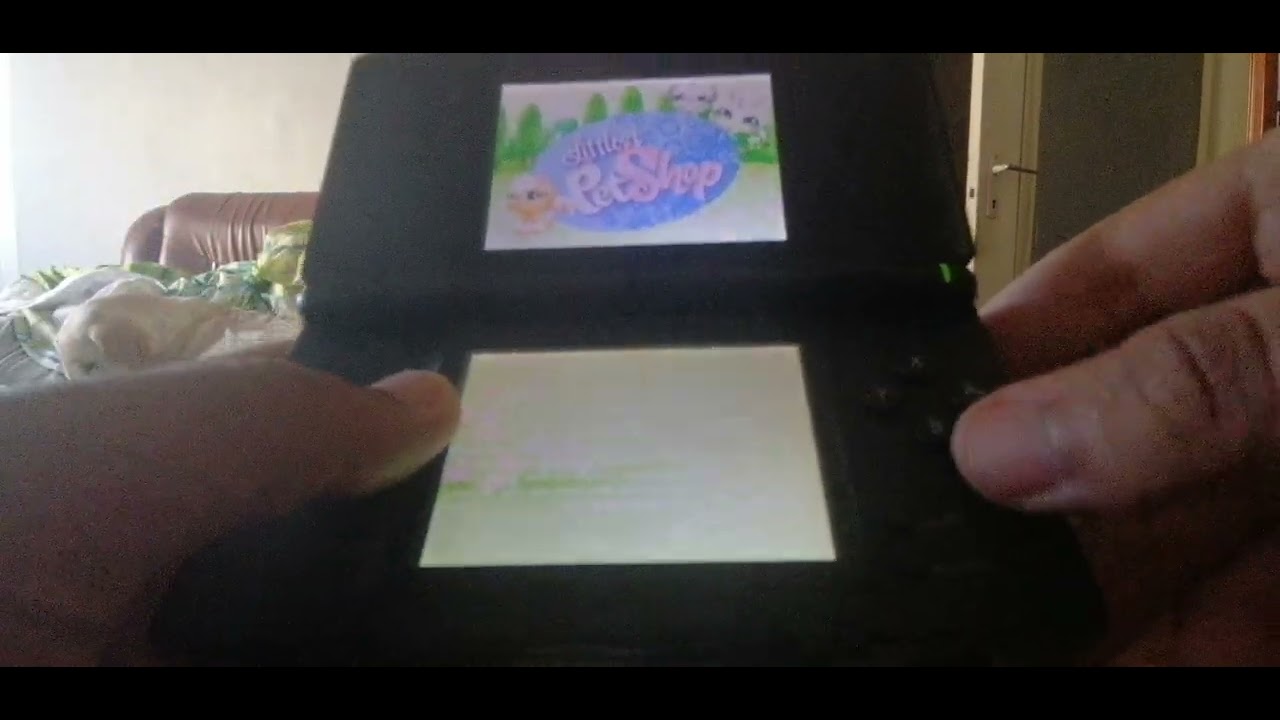 Nintendo DS Lite Dragon Booster And Pet shop Gameplay - YouTube