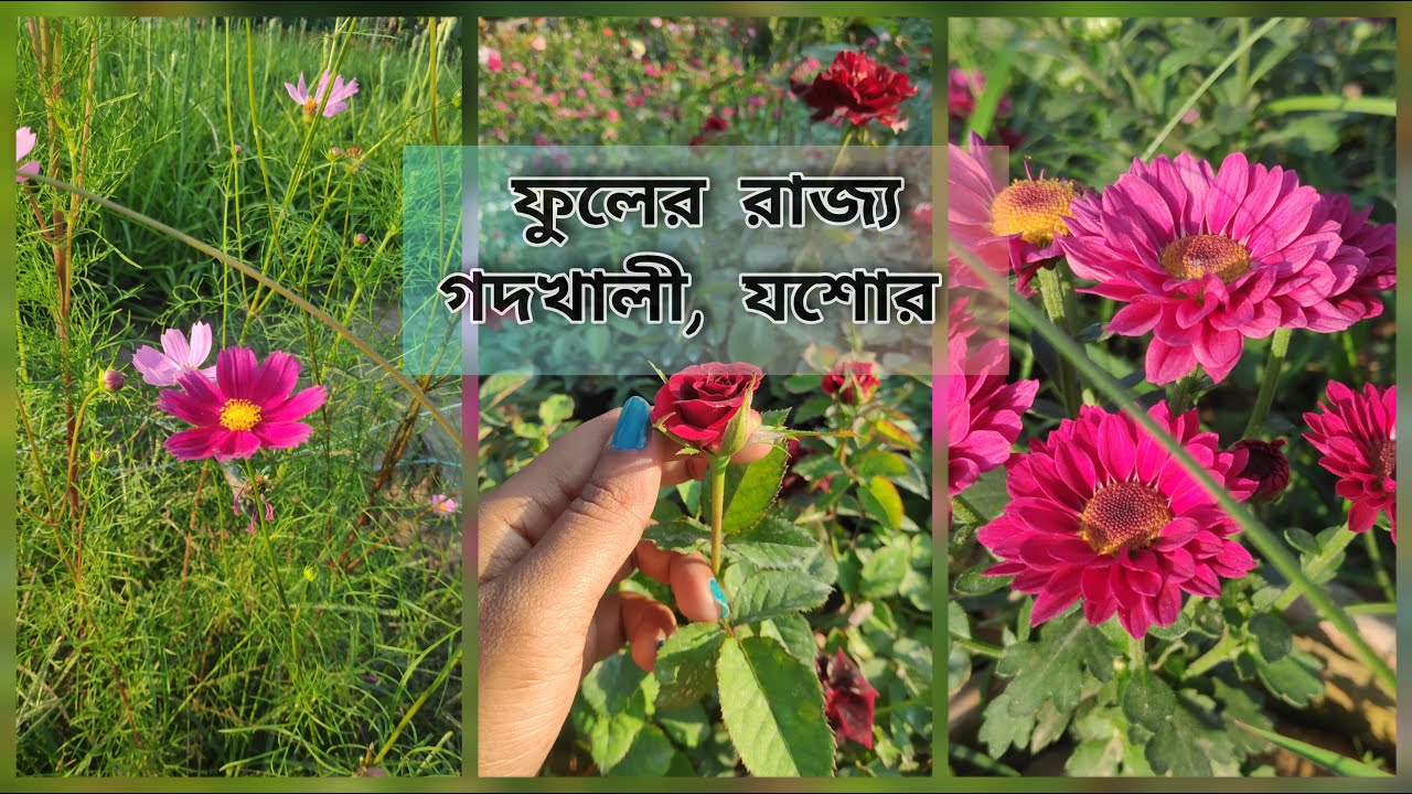 আজকে একদম ফুলের রাজ্যে হারিয়ে গেলাম |Largest flower garden in ...