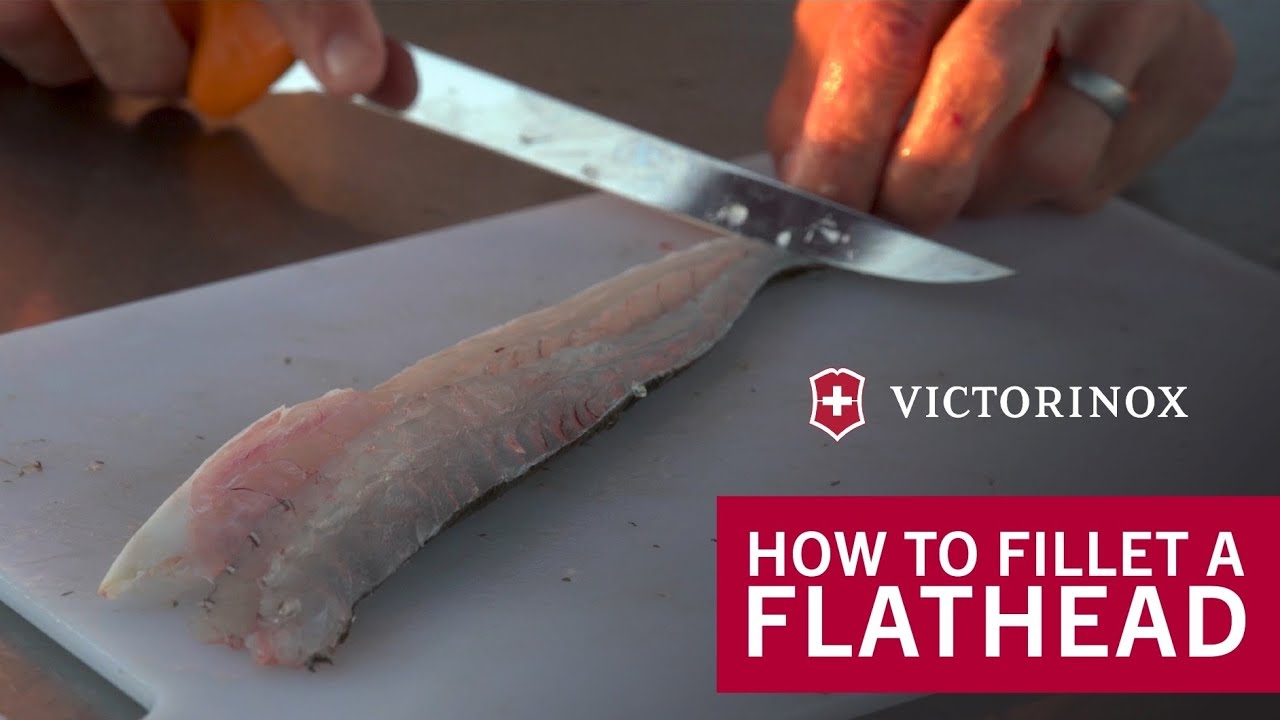 How To Fillet a Flathead | SWIBO Knives - YouTube