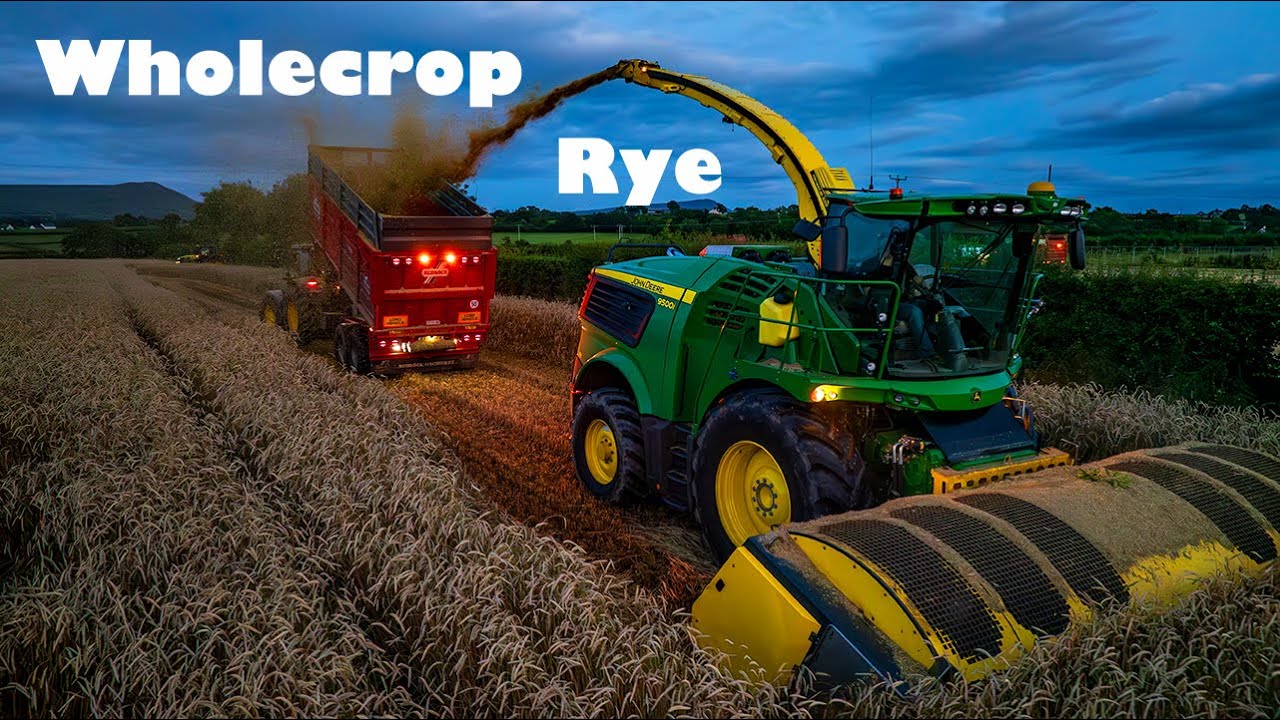 Silage Rye Wholecrop | John Deere 9500i | Lyons Contracts - YouTube