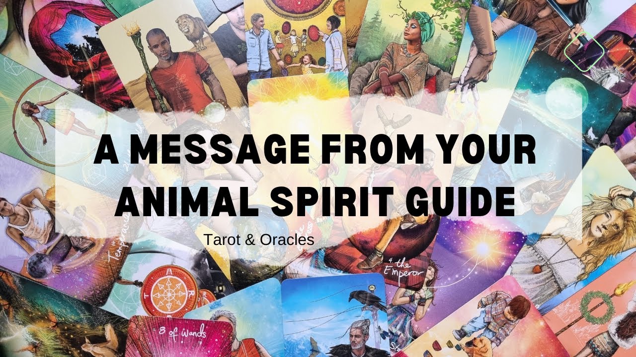 A MESSAGE FROM YOUR ANIMAL SPIRIT GUIDE🍃Pick A Card Reading🍃 - YouTube