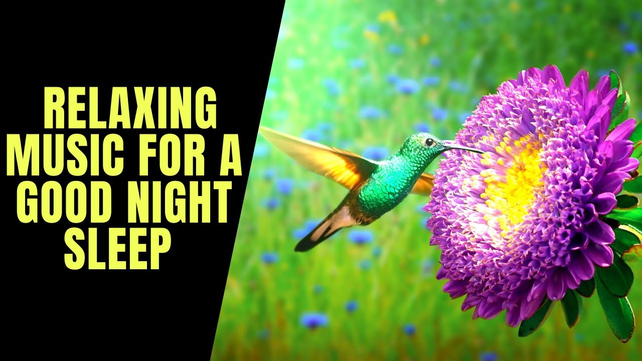 Relaxing Music for a GOOD NIGHT SLEEP ★ - YouTube