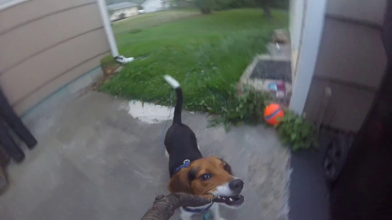 First GoPro Video - YouTube