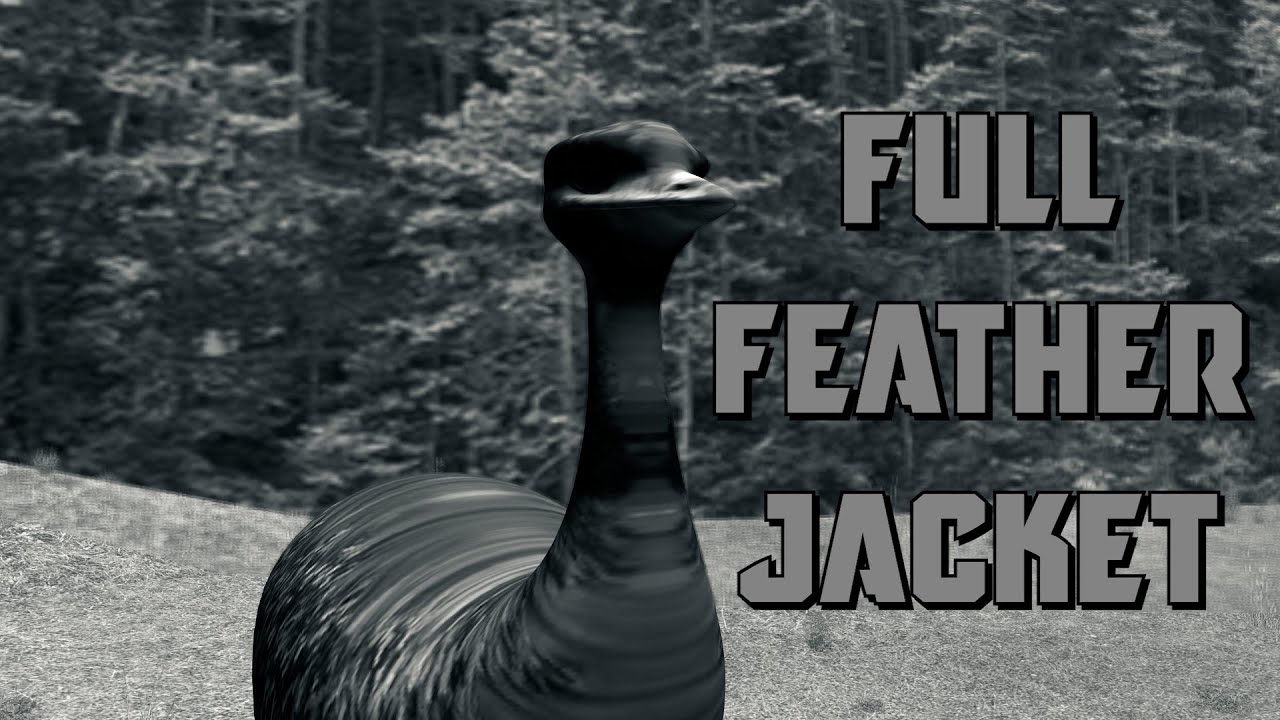Full Feather Jacket (The Great Emu War) - YouTube