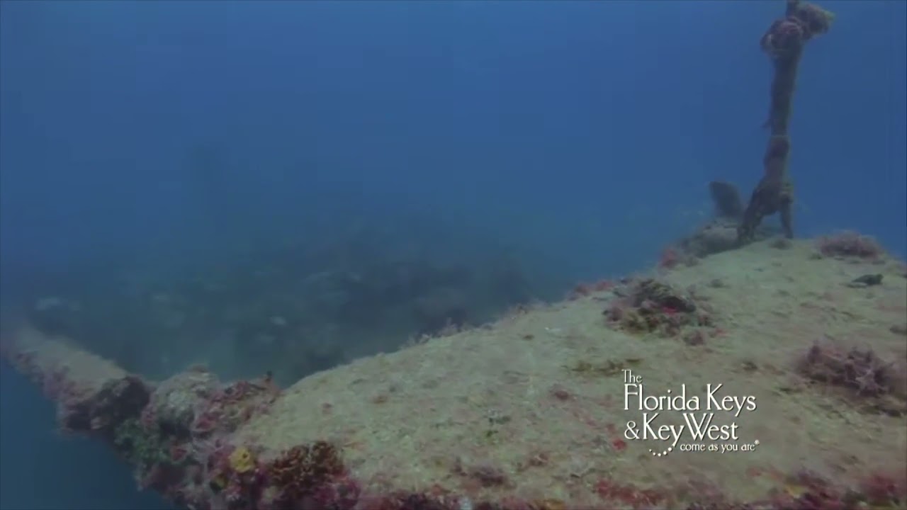 Dive the Lowers Keys' Shipwreck of the Adolphus Busch - YouTube