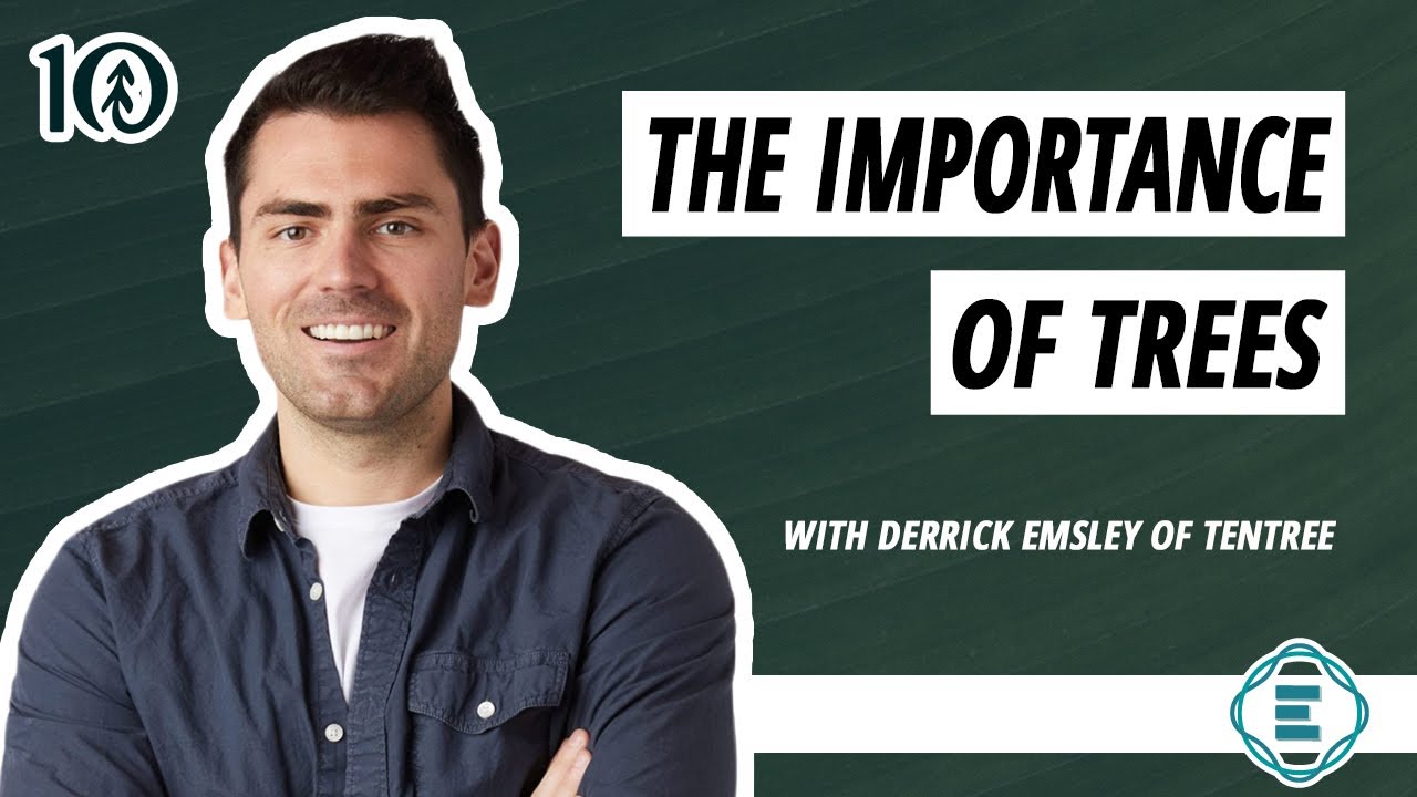 Tentree Ceo Discount | www.abinandanainfra.com