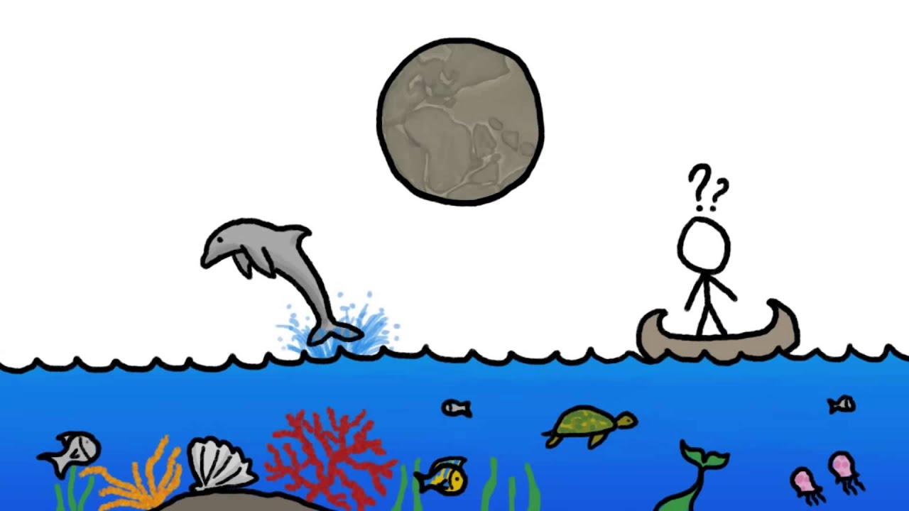 MinuteEarth - Откуда на Земле вода? - YouTube