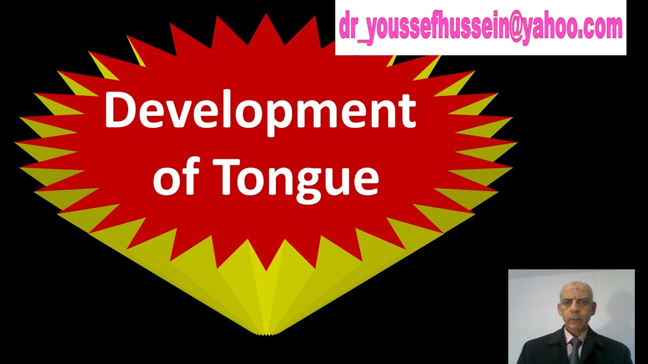 Development of tongue | Copula of His |congenital anomalies| Tongue tie ...