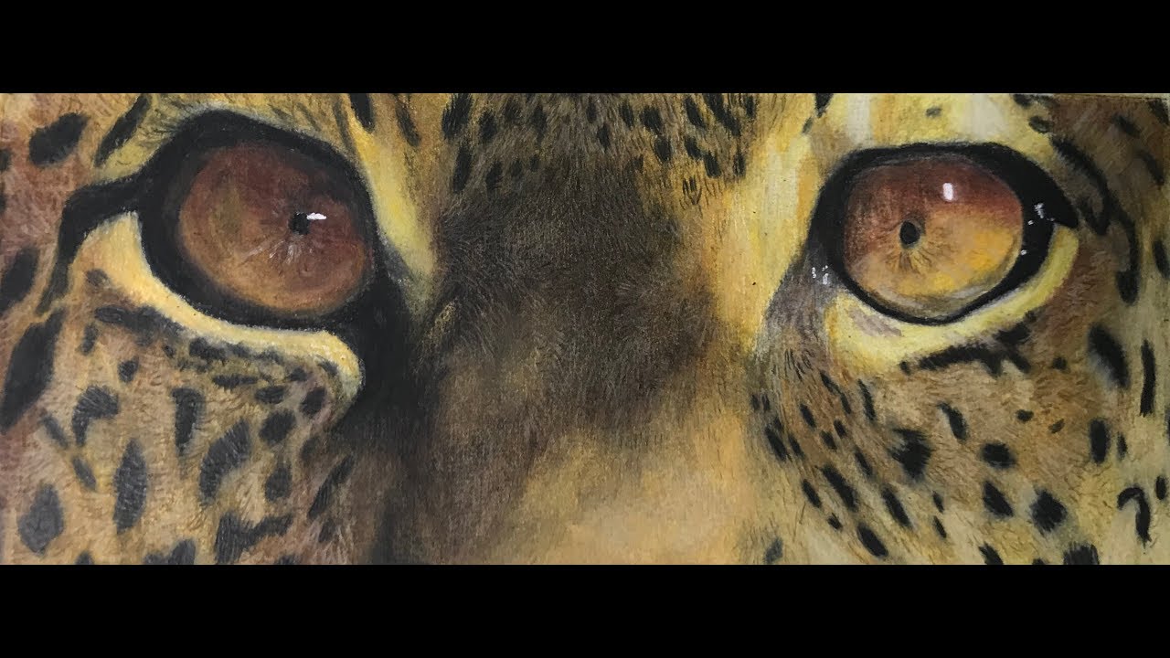 Speed Drawing of Leopard eyes - YouTube