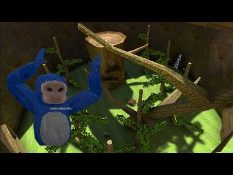 checking out the new capuchin game? - YouTube