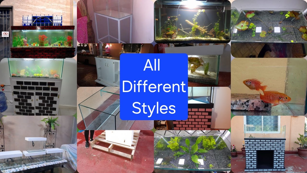 100 Aquariums in 5 Minutes – Ultimate Aquarium Build Challenge - YouTube