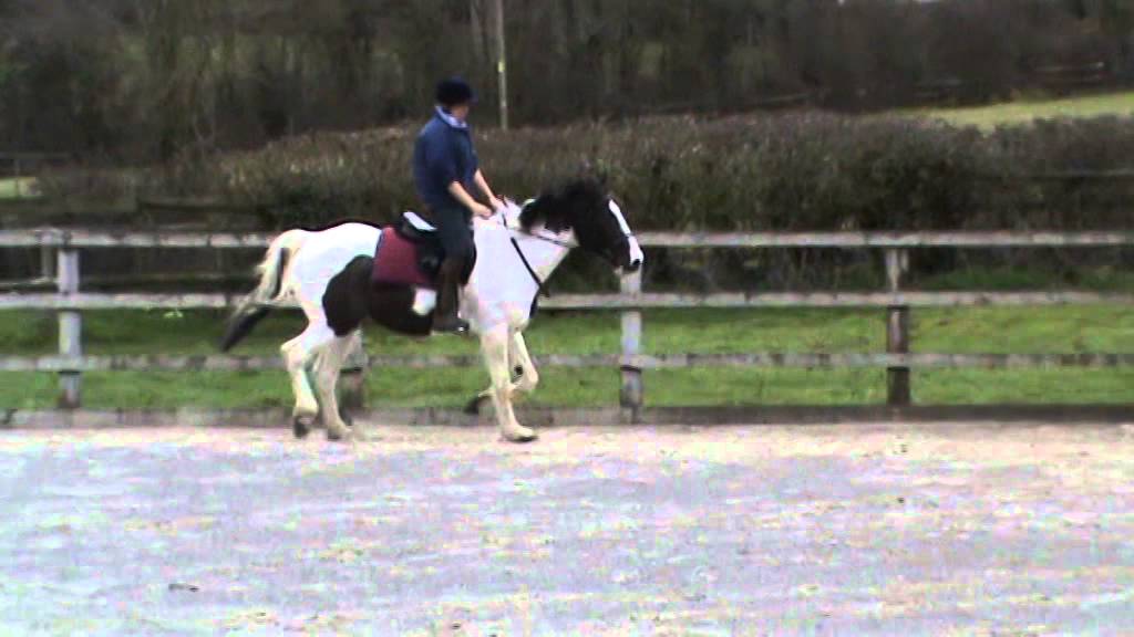 Hilary Woolridge Charlie Prelim 7 - YouTube