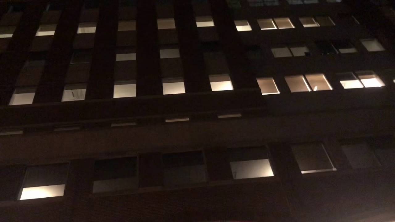 Shinobu Home - YouTube