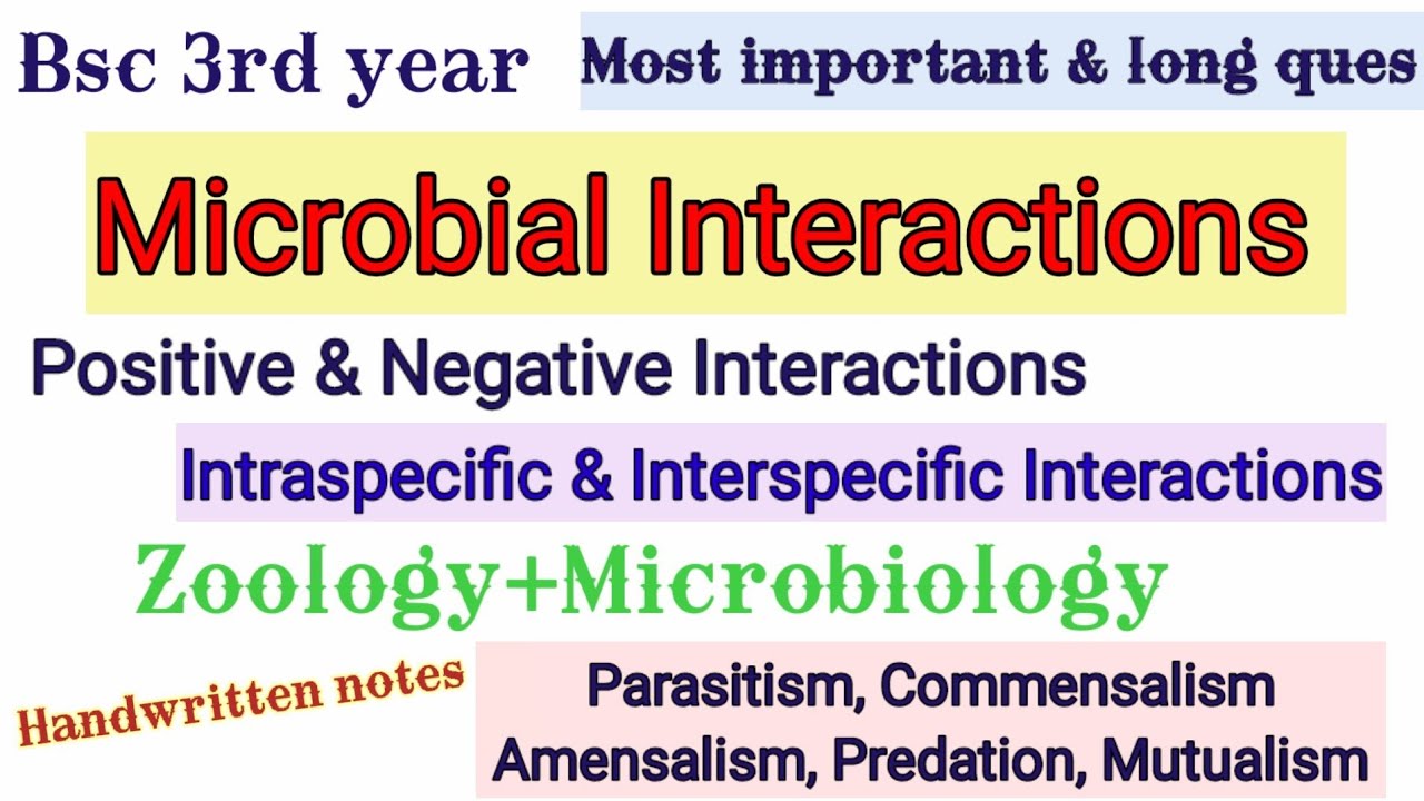 *2- Positive Interactions (Mutualism) | Bsc 3rd year Zoology + Micro ...