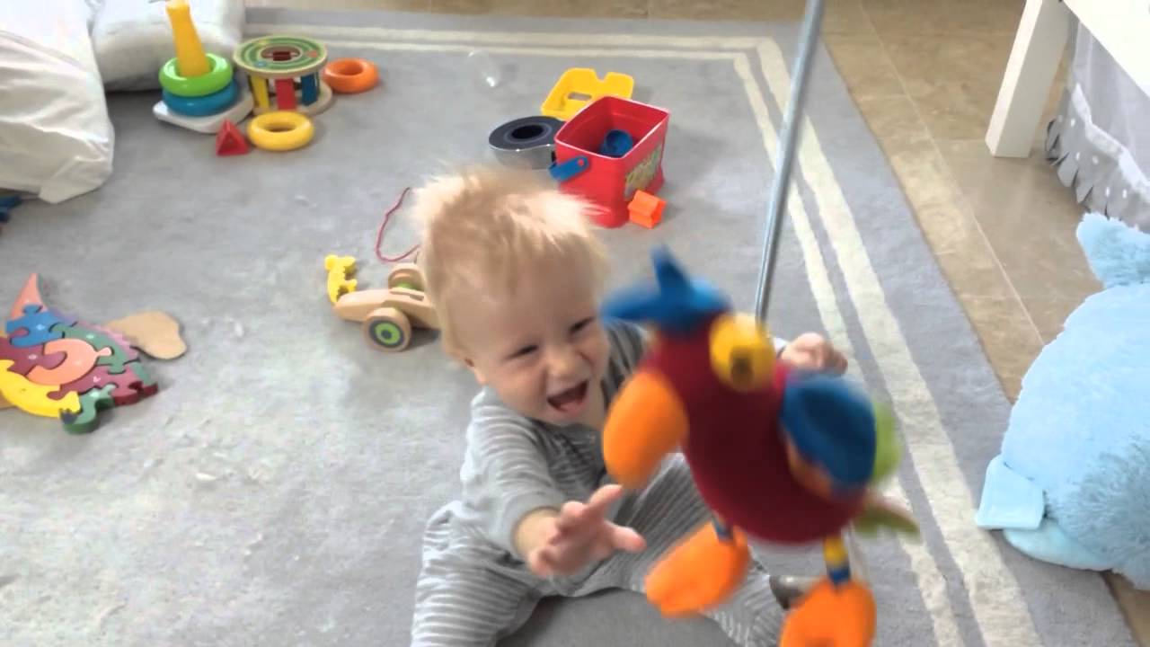 Arthur and his parrot 22 June 2014 - YouTube