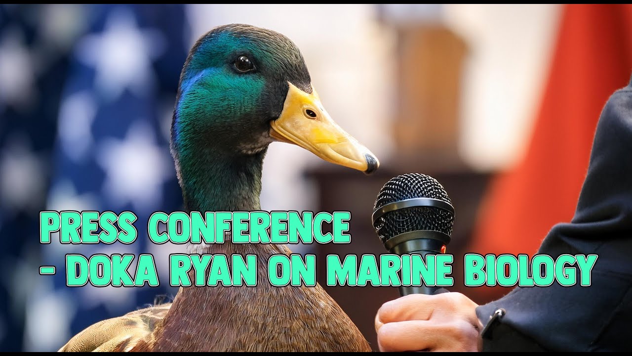 Improv Scene - Doka Ryan the Marine Biologist Press Conference - YouTube
