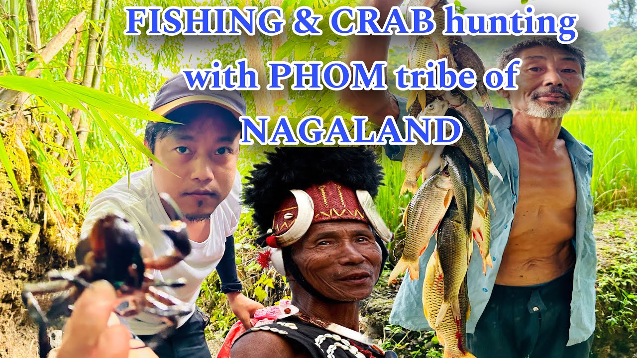 FISHING & CRAB hunting with PHOM tribe in NAGALAND || Experiencing ...