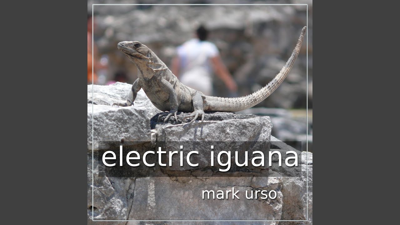 Electric Iguana - YouTube