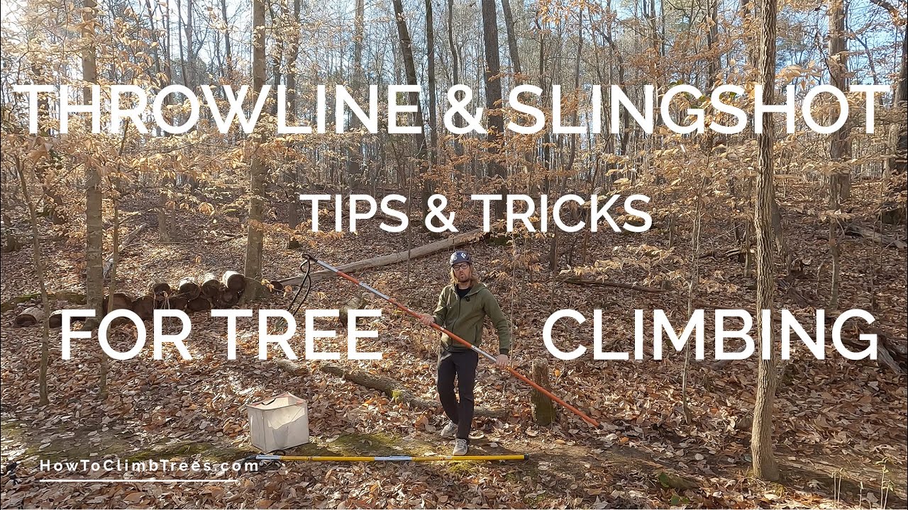 Throwline & Slingshot Tips & Tricks For Tree Climbing - Get Your ...
