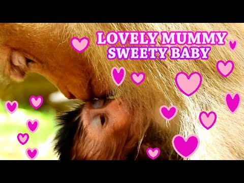 MY HEART FULL MUM !! Lovely mummy...sweetie baby...Look very great mom ...