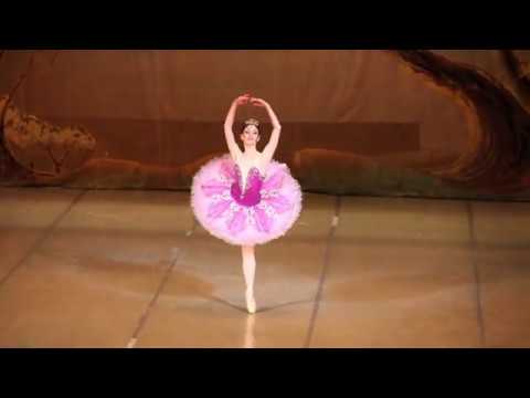 Don Quixote (ballet) composer Ludwig Minkus - YouTube