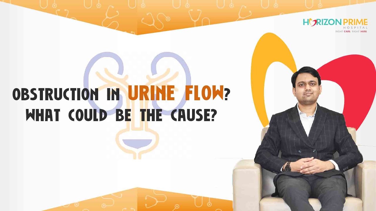 Causes of obstruction in urine flow | Symptoms | Causes | Horizon Prime ...