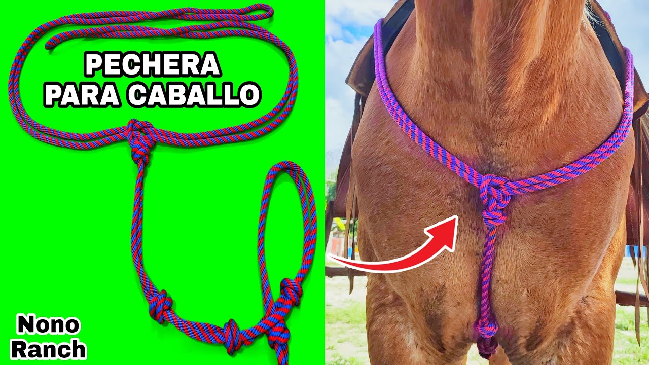 Cómo se hace una PECHERA PARA CABALLO - YouTube