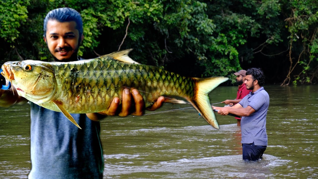 Masheer Fishing In Kerala | Got Rare Fish In My Life | Blue Fin Masheer ...