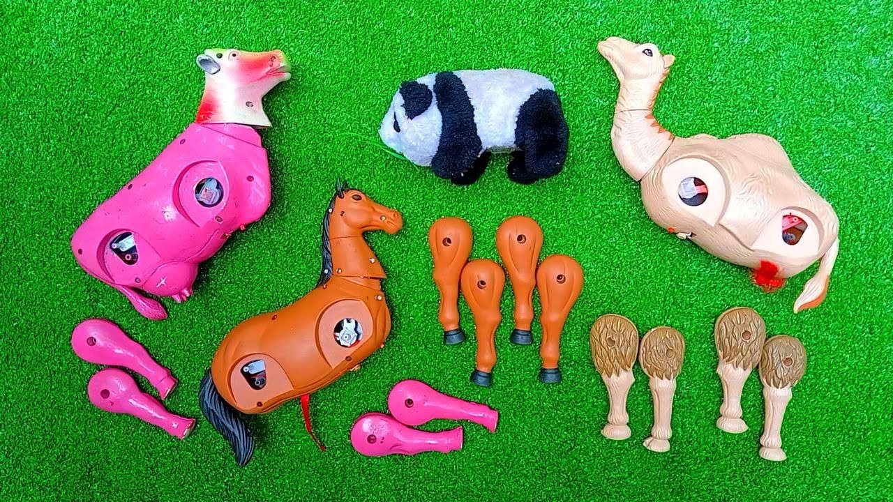 Menemukan dan merakit sapi warna warni, sapimo, sapi joged, sapi lucu ...