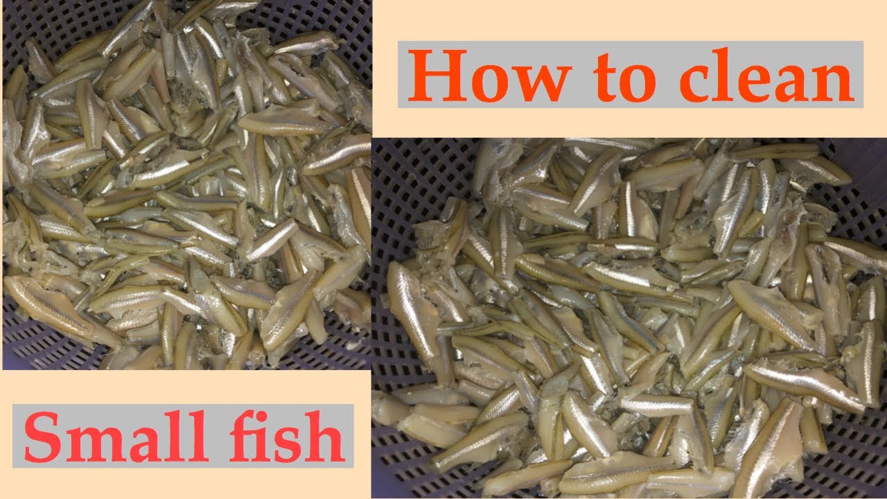 How to clean small fish - YouTube