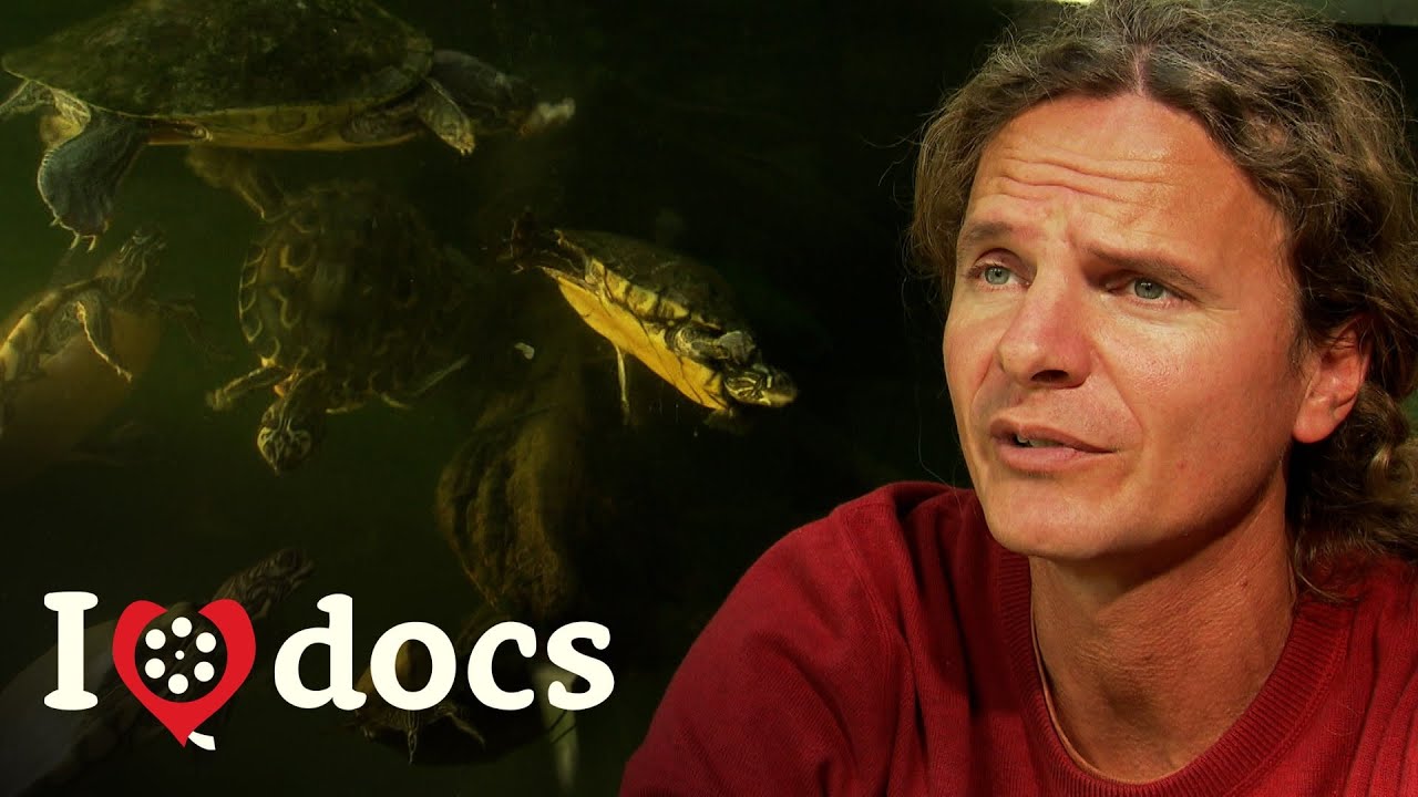 Mysteries Of Turtle Communication - Turtle Voices Calls From The Ages ...