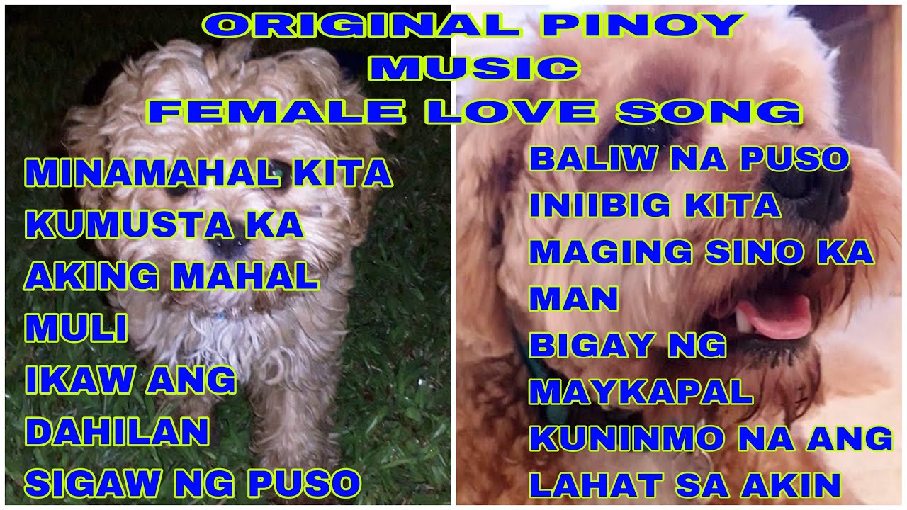 ORIGINAL PINOY MUSIC FEMALE LOVE SONG #lovesong #viral #music - YouTube