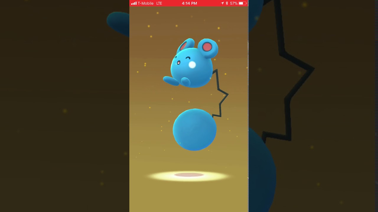 Catch and Hatch Azurill on Pokemon Go: Exciting Timed Research and ...