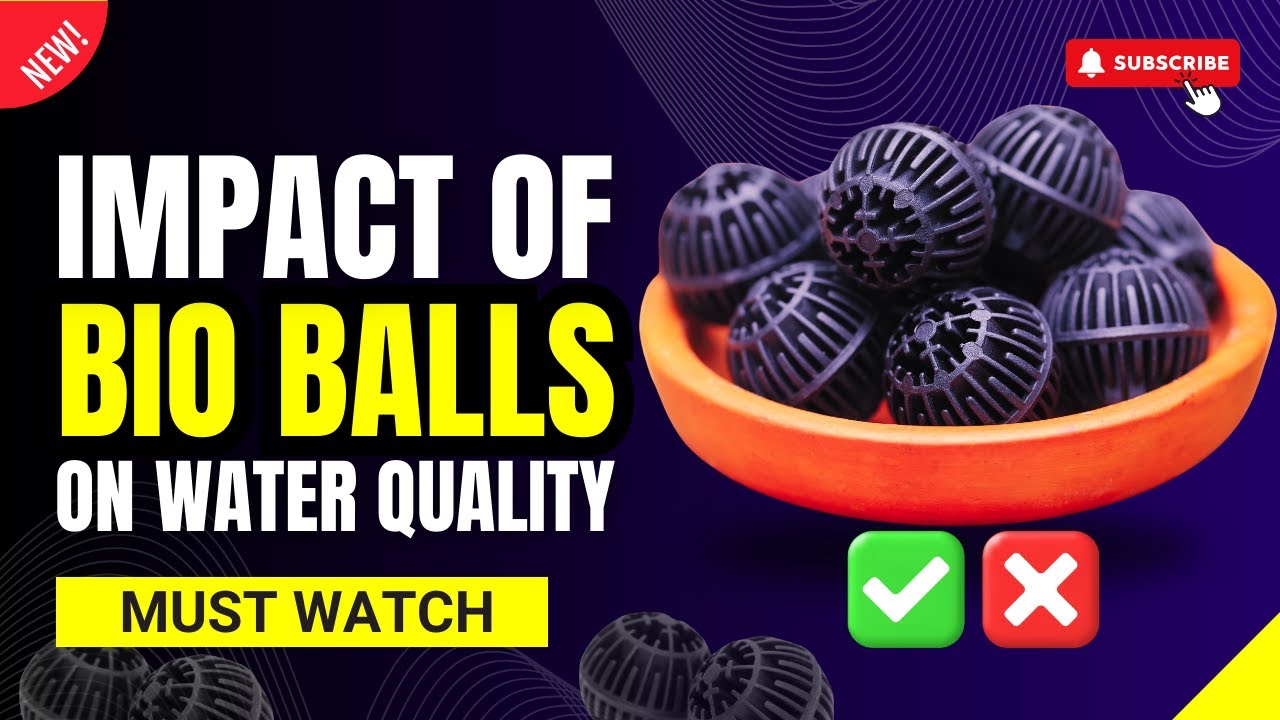 Bio Balls vs No Bio Balls Aquarium | Impact on Aquarium Fish Health and ...